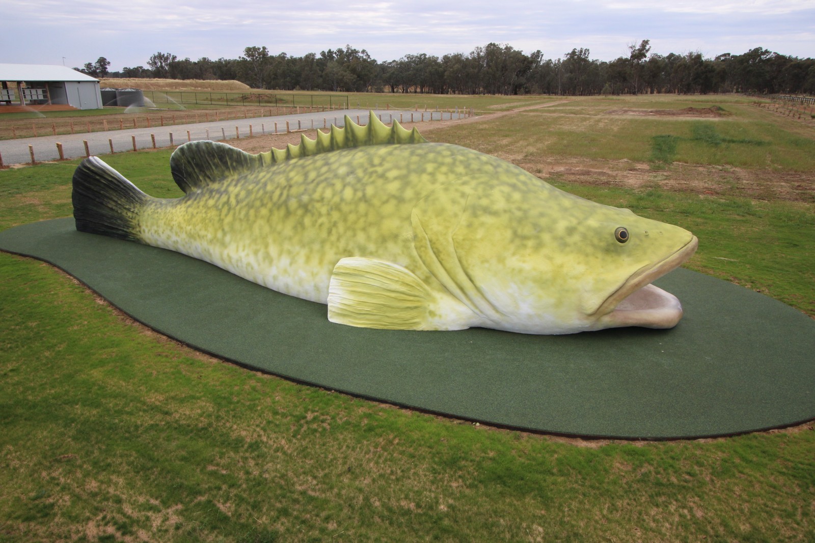 Home for the Holidays | Shepparton & Goulburn Valley