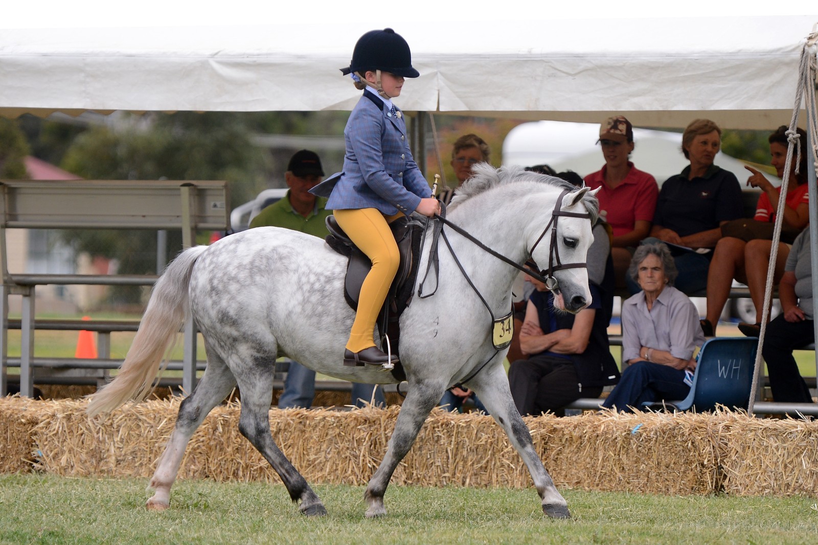 Welsh National Show | Shepparton & Goulburn Valley