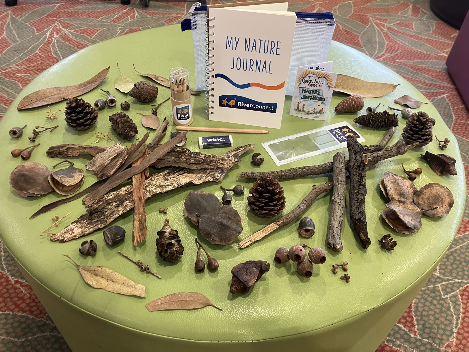 Intro to Nature Journaling | Shepparton & Goulburn Valley