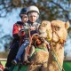 Billabong Ranch Adventure Park | Shepparton & Goulburn Valley