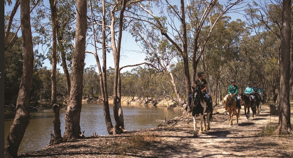 Billabong Ranch Adventure Park | Shepparton & Goulburn Valley