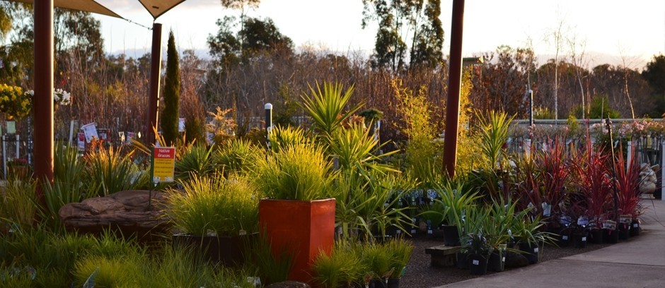 Riverside Gardens Garden Centre & Mini Golf | Shepparton & Goulburn Valley
