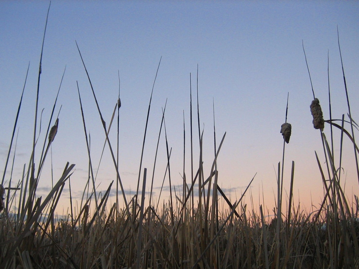 Cussen Park | Shepparton & Goulburn Valley
