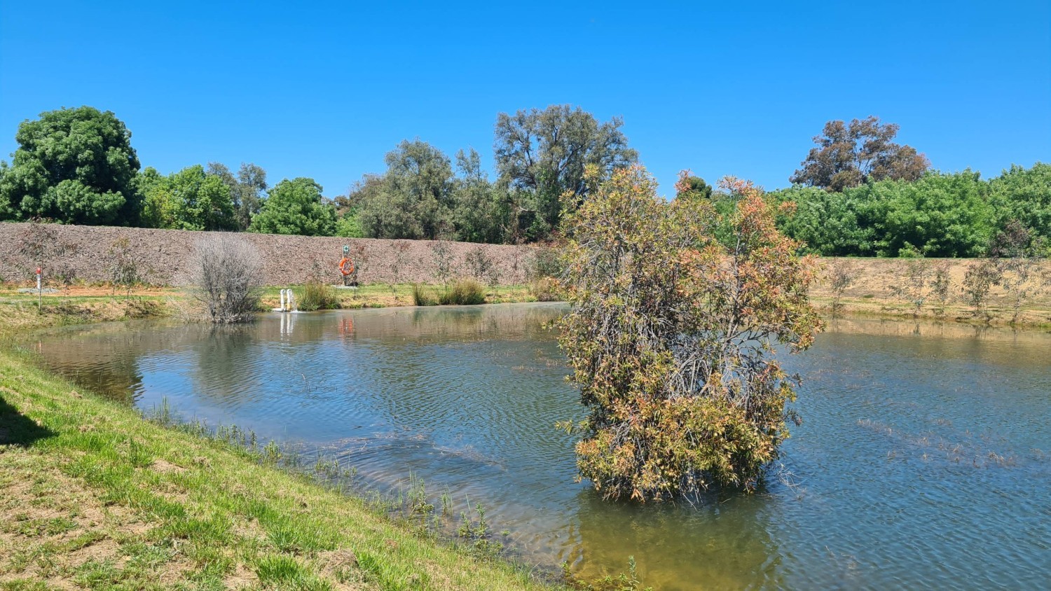 Dunyak Moira Catch and Release Fishing Lagoons | Shepparton & Goulburn ...