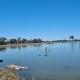 Dunyak Moira Catch and Release Fishing Lagoons | Shepparton & Goulburn ...