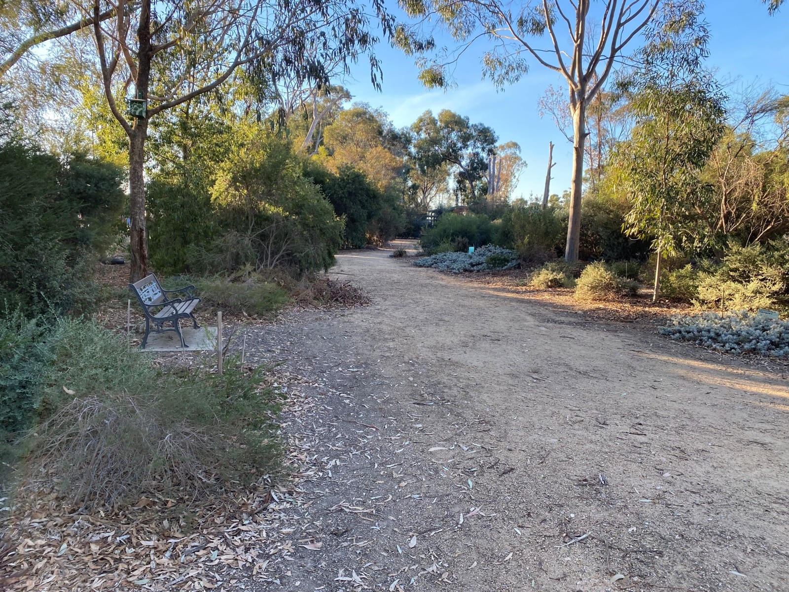 Congupna Pony Paddock | Shepparton & Goulburn Valley