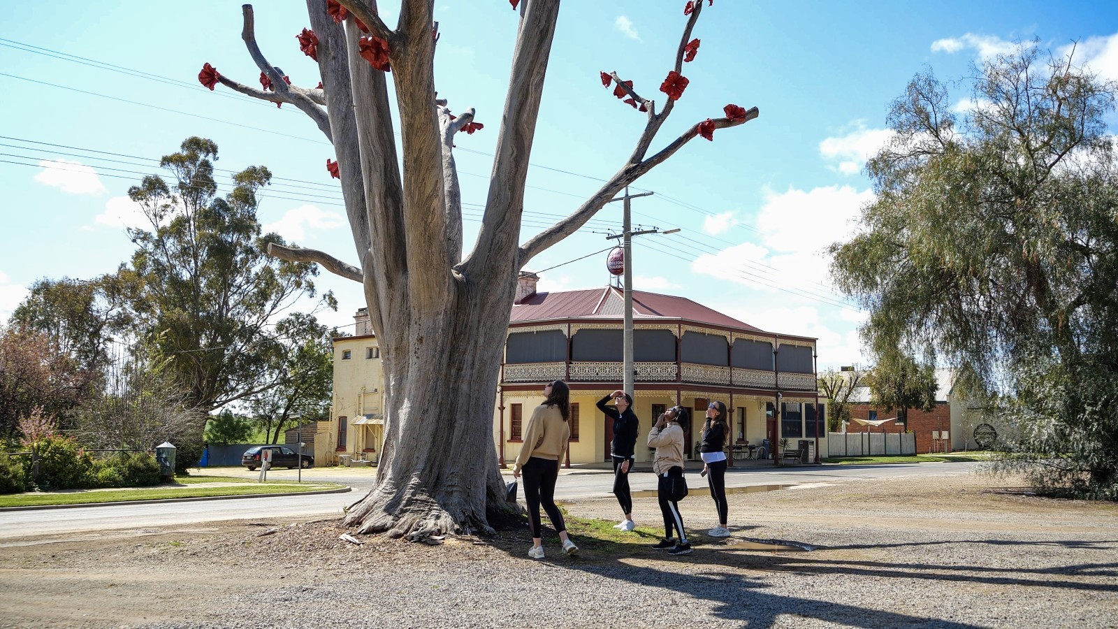 Discover Dookie: A Hidden Gem in Country Victoria | Shepparton ...